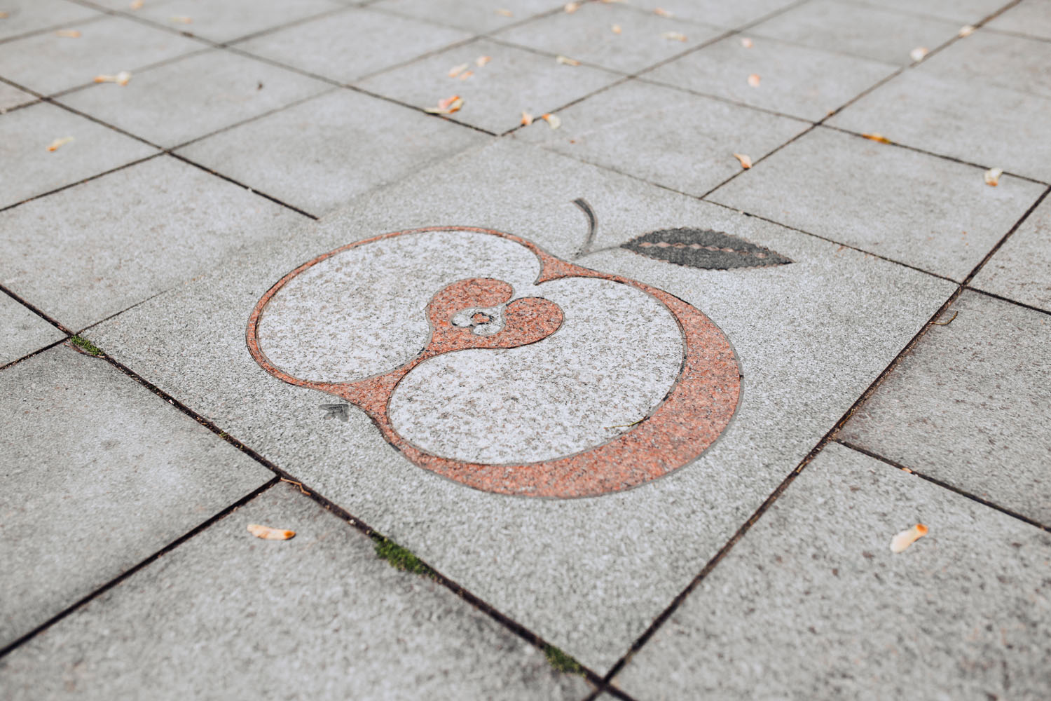 The Apple Tile – Walkable Vilnius