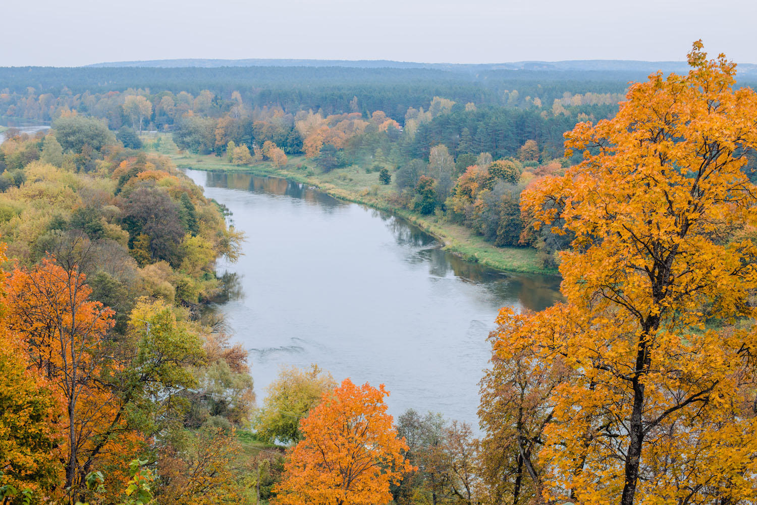 A Journey Around the Riverbanks of the Neris – Walkable Vilnius